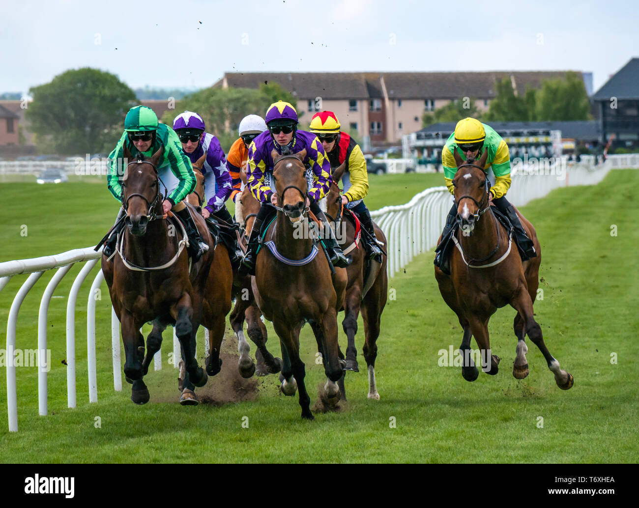 Horse racing horses hi-res stock photography and images - Alamy