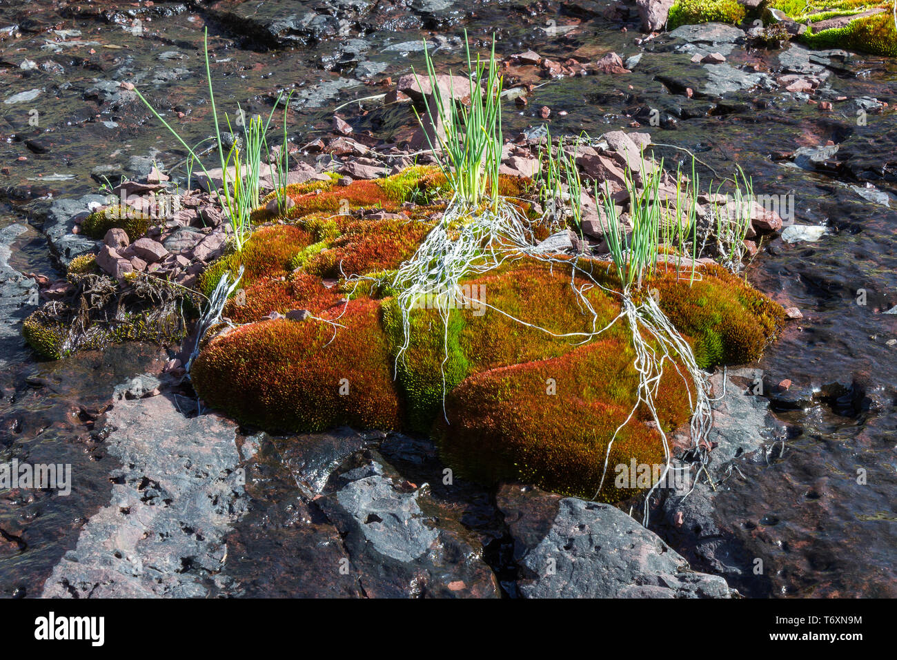 Dark wet rocks hi-res stock photography and images - Alamy