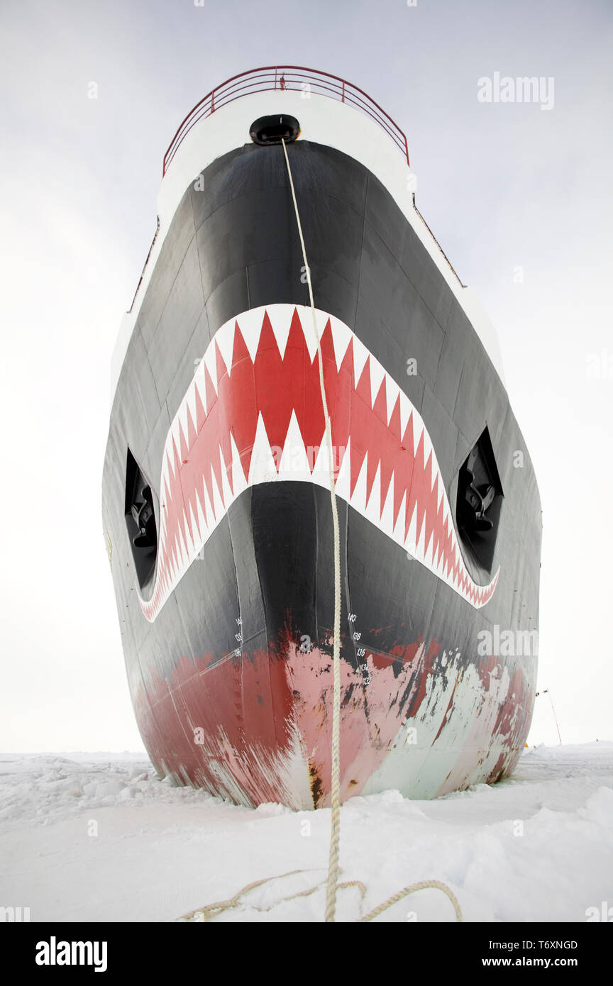 Russian nuclear icebreaker Yamal at North Pole, Russian Arctic Stock ...