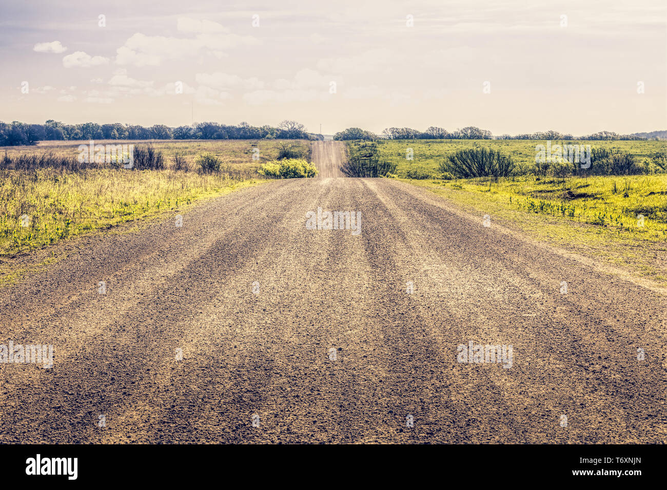 Country road through the prairie Stock Photo - Alamy
