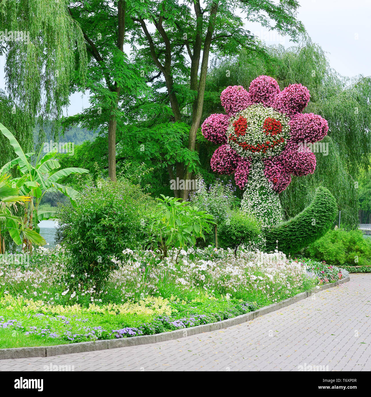 beautiful flowerbed in the shape of a flower Stock Photo - Alamy