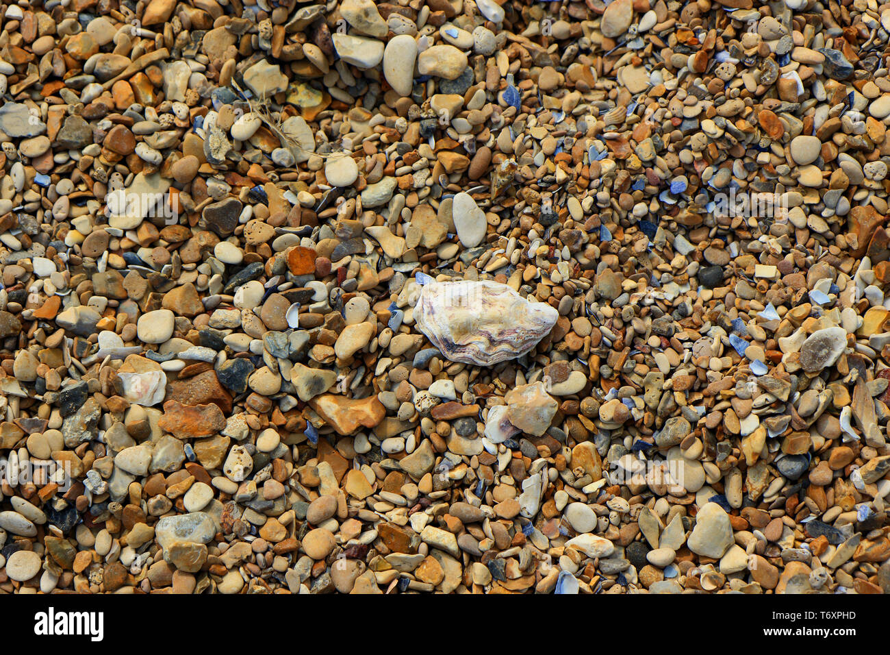 Background image with a pebbles beach and old shells Stock Photo - Alamy