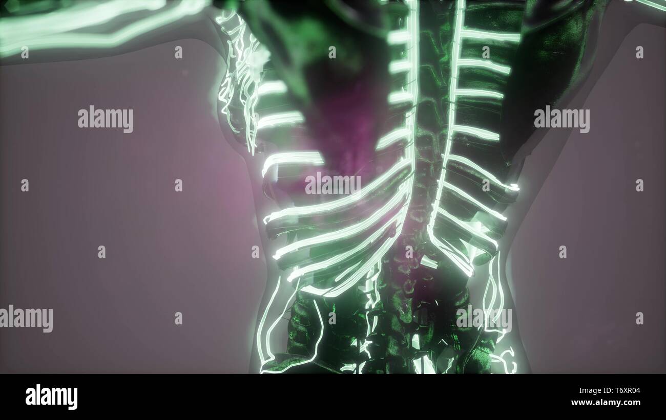 Human Body with Glow Blood Vessels Stock Photo - Alamy