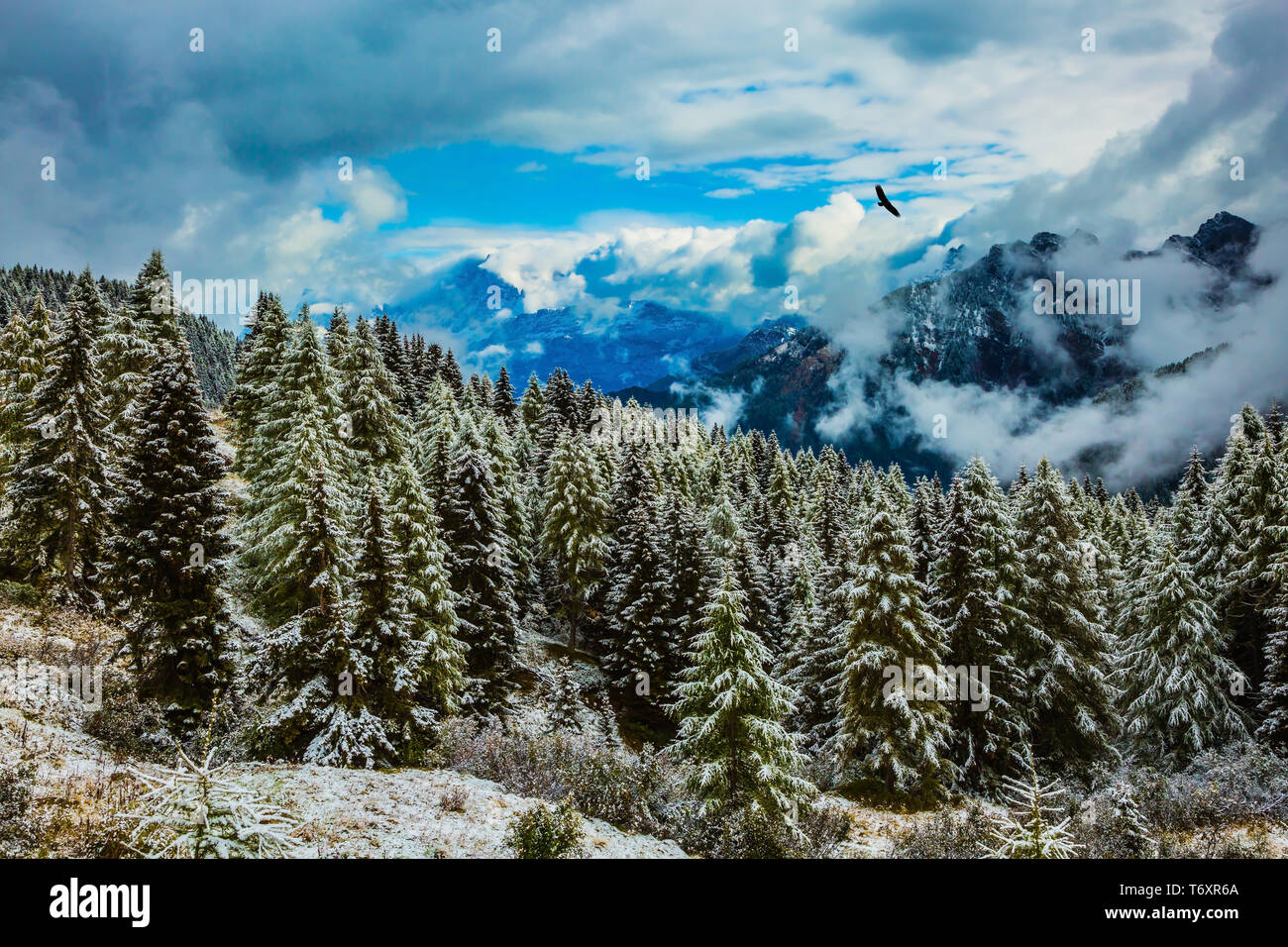 Flying over mountains forest hi-res stock photography and images - Alamy