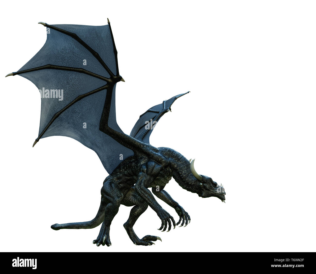 dragon in a white background will put some fun in yours creations Stock ...