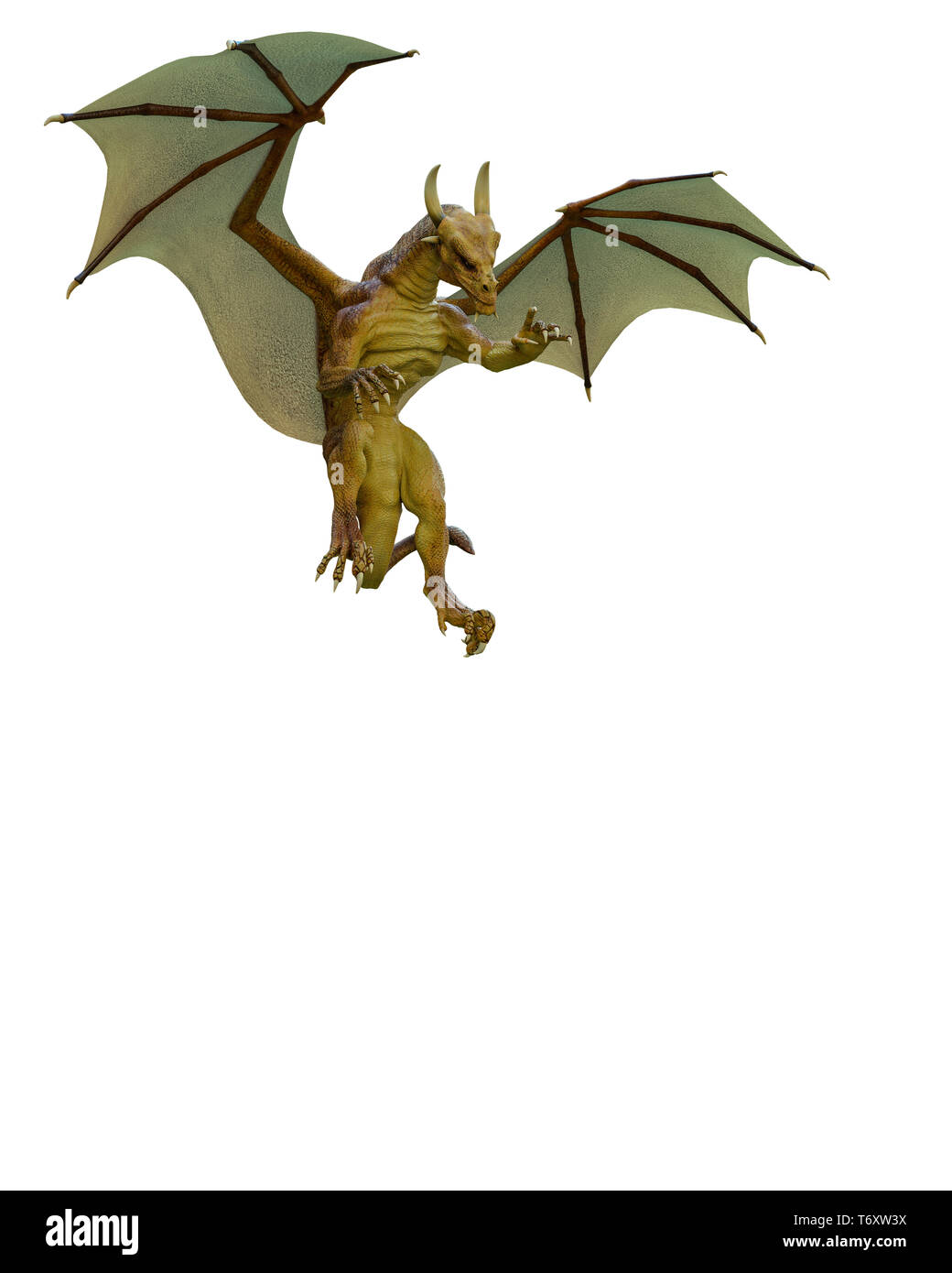 dragon in a white background will put some fun in yours creations Stock ...