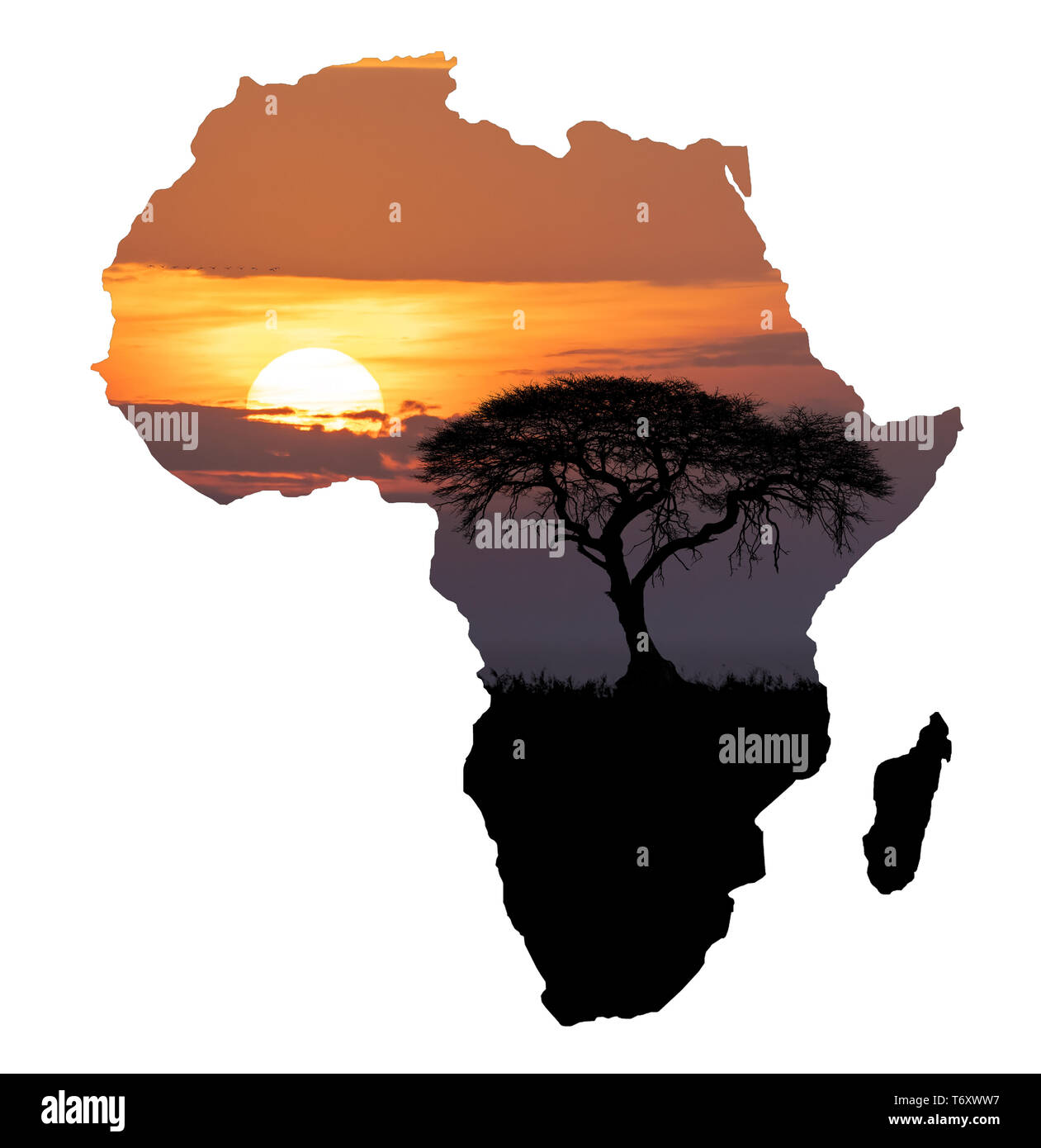 Africa tree silhouette Cut Out Stock Images & Pictures - Alamy