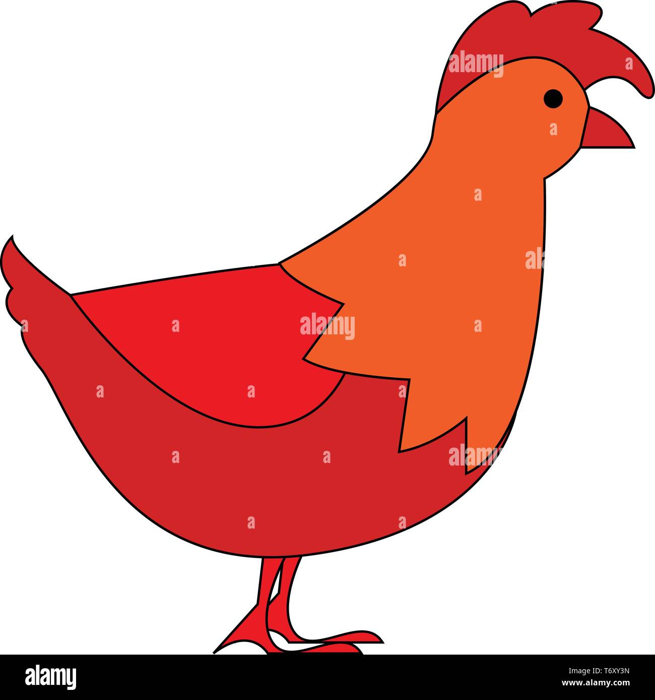 Chicken breed Stock Vector Images - Alamy