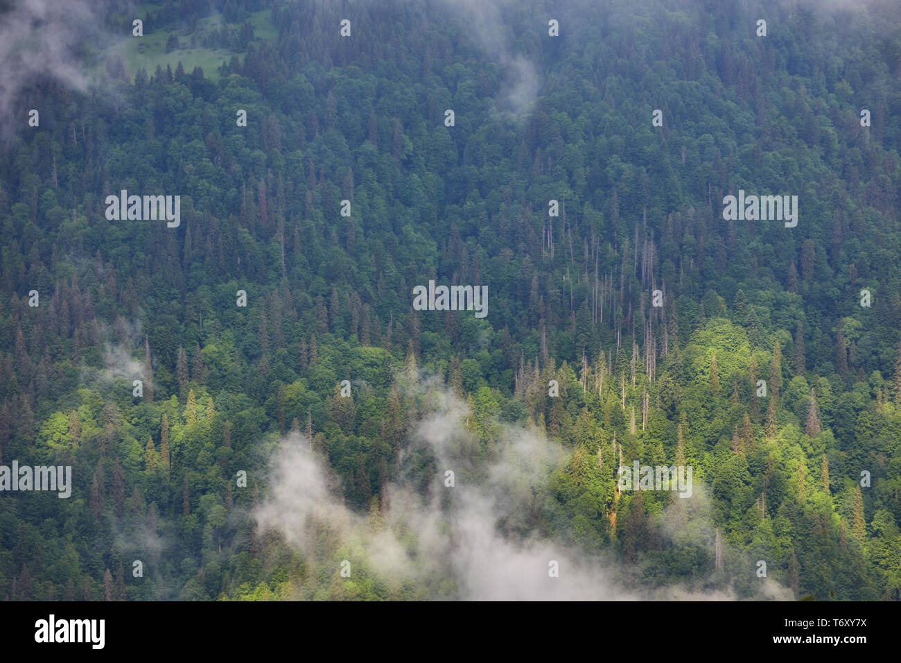 Dramatic mountain wall texture hi-res stock photography and images - Alamy