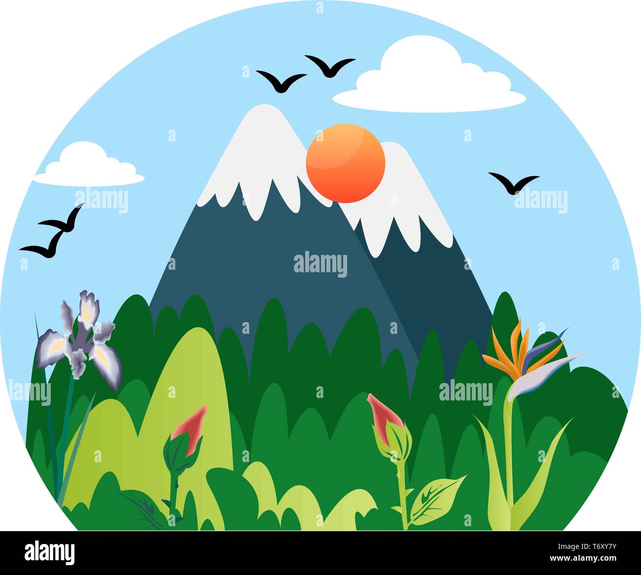 Beautiful tree in field Stock Vector Images - Alamy