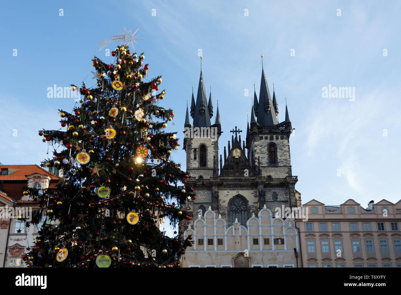 Prague old town square tree hi-res stock photography and images - Alamy