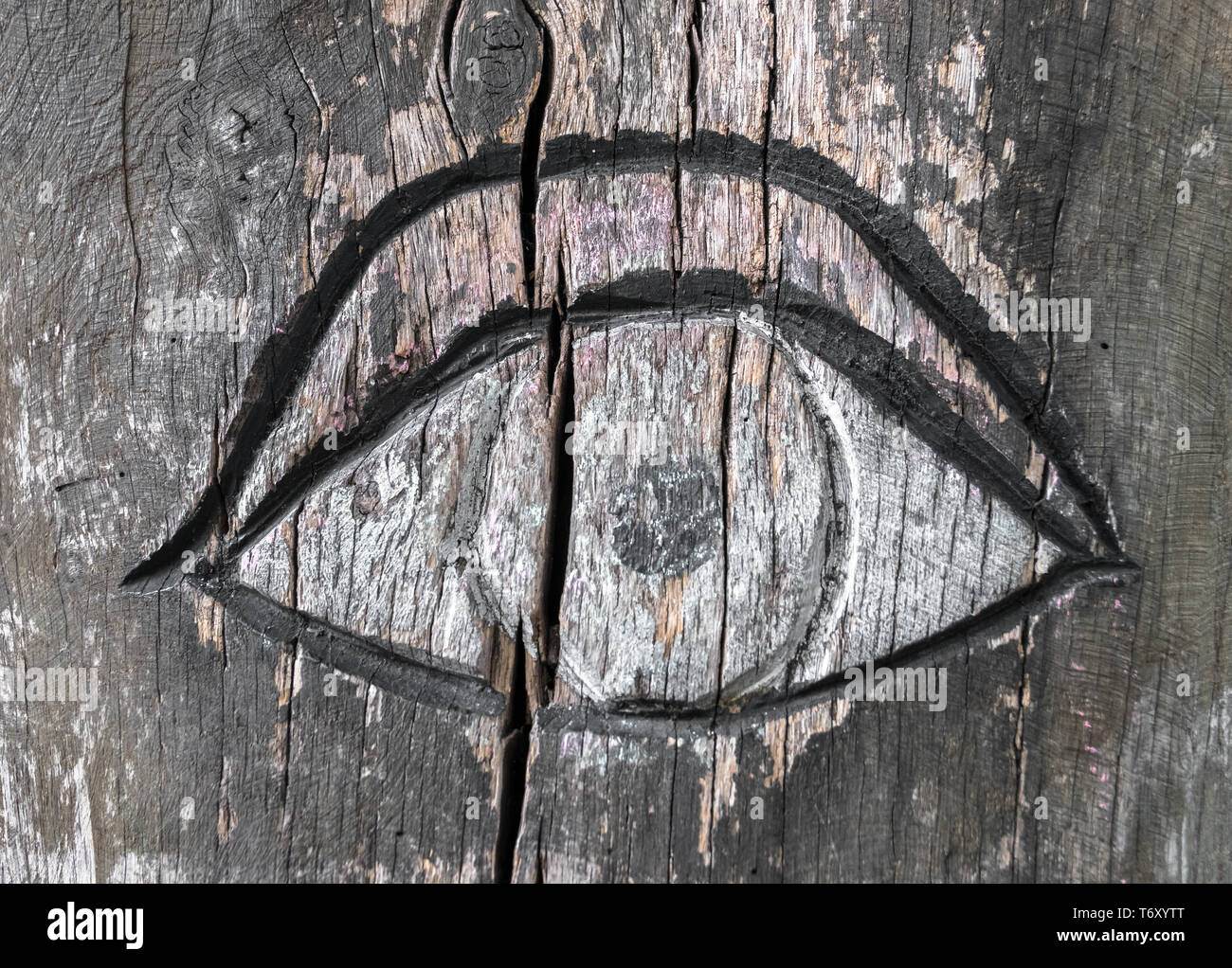 Inlaid eye on the bark of a tree Stock Photo - Alamy