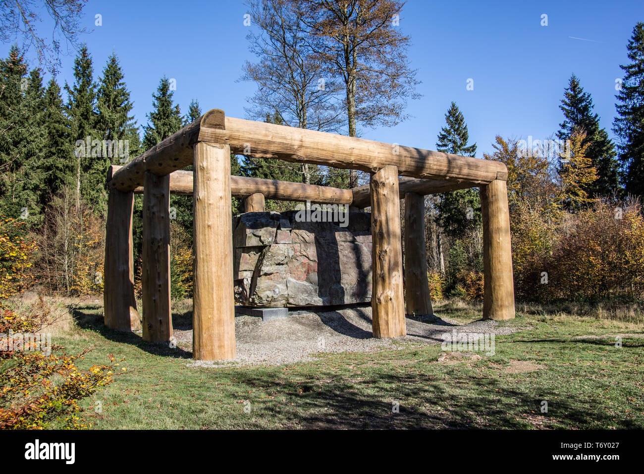 Massive forest hi-res stock photography and images - Alamy