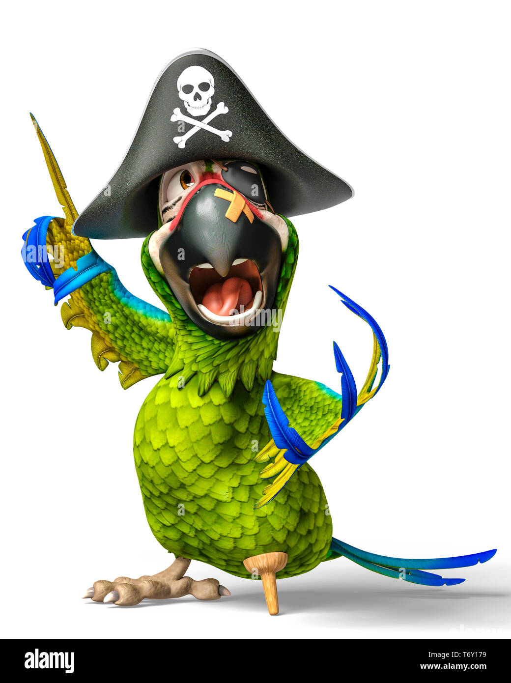 Pirate Parrot Cartoon