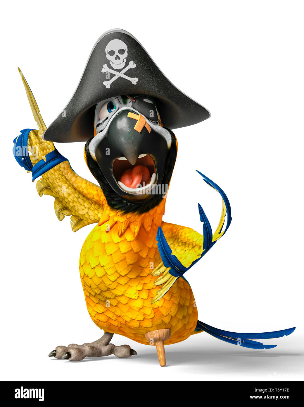 Pirate Parrot Cartoon