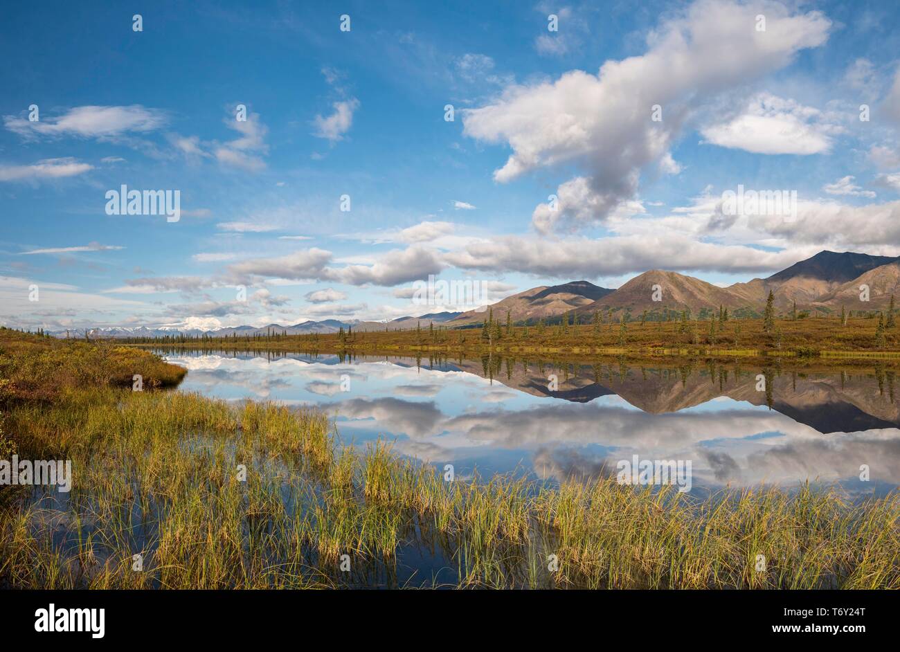 Tundral landscape hi-res stock photography and images - Alamy