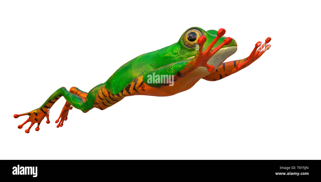 amazon tiger frog in a white background will put some fun in yours ...
