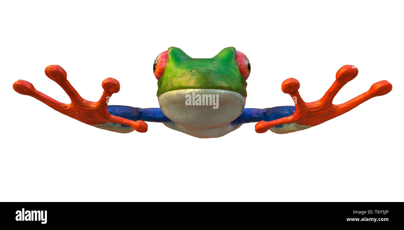 amazon frog in a white background will put some fun in yours creations ...