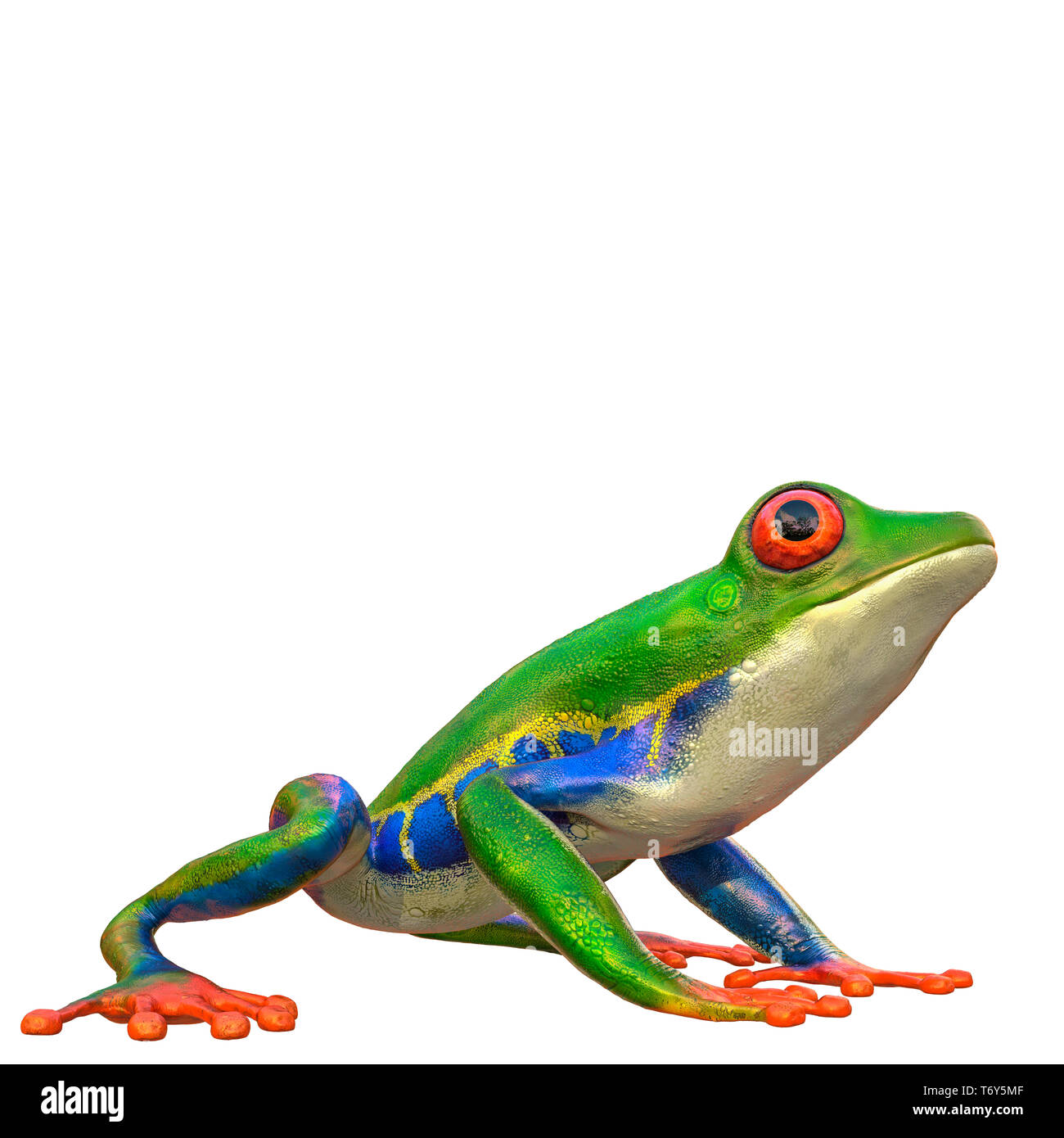 amazon frog in a white background will put some fun in yours creations ...