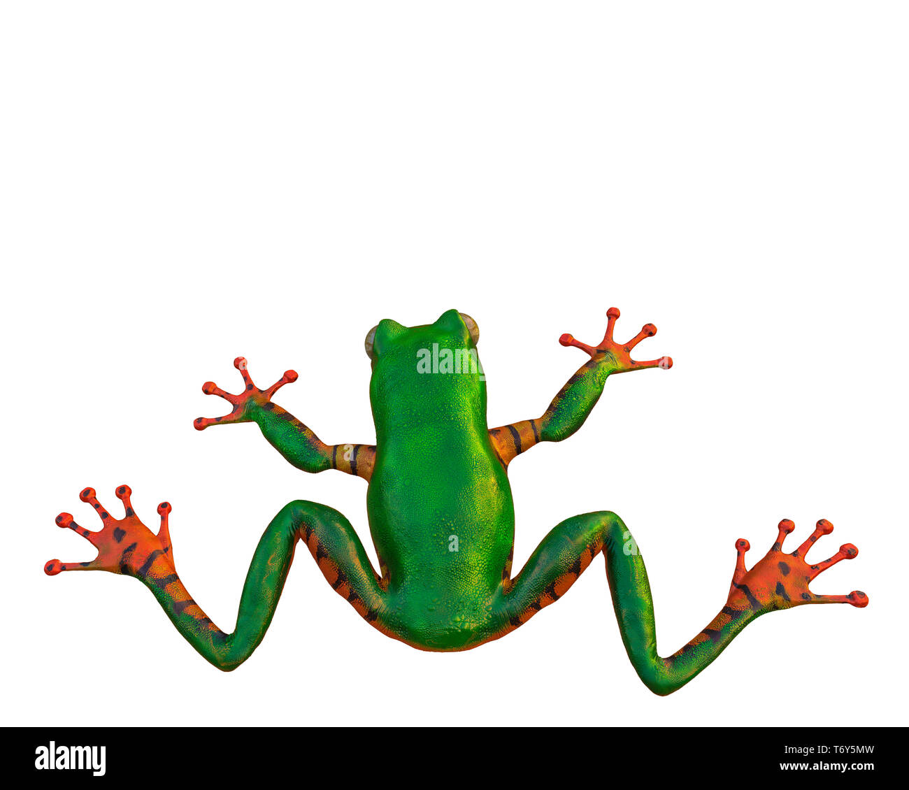 Tiger animal in a tropical jungle illustration hi-res stock photography ...