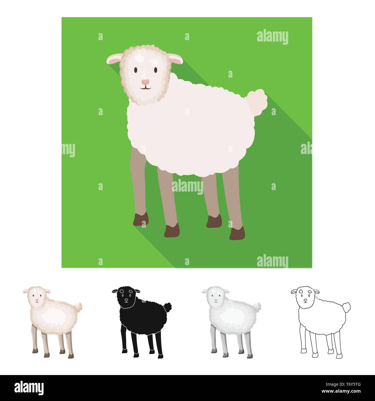 wool,meat,fluffy,happy,cattle,mutton,farm,food,homemade,countryside ...