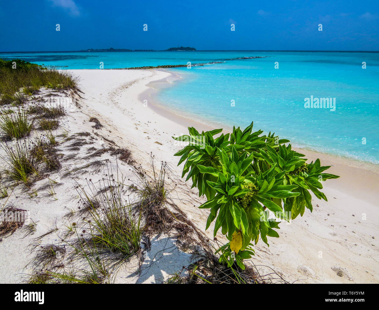 Amazing atoll in the Maldives Stock Photo - Alamy