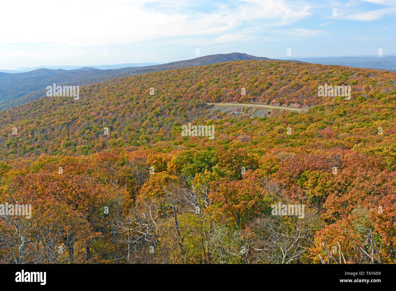 Skyline drive forest virginia hi-res stock photography and images - Alamy
