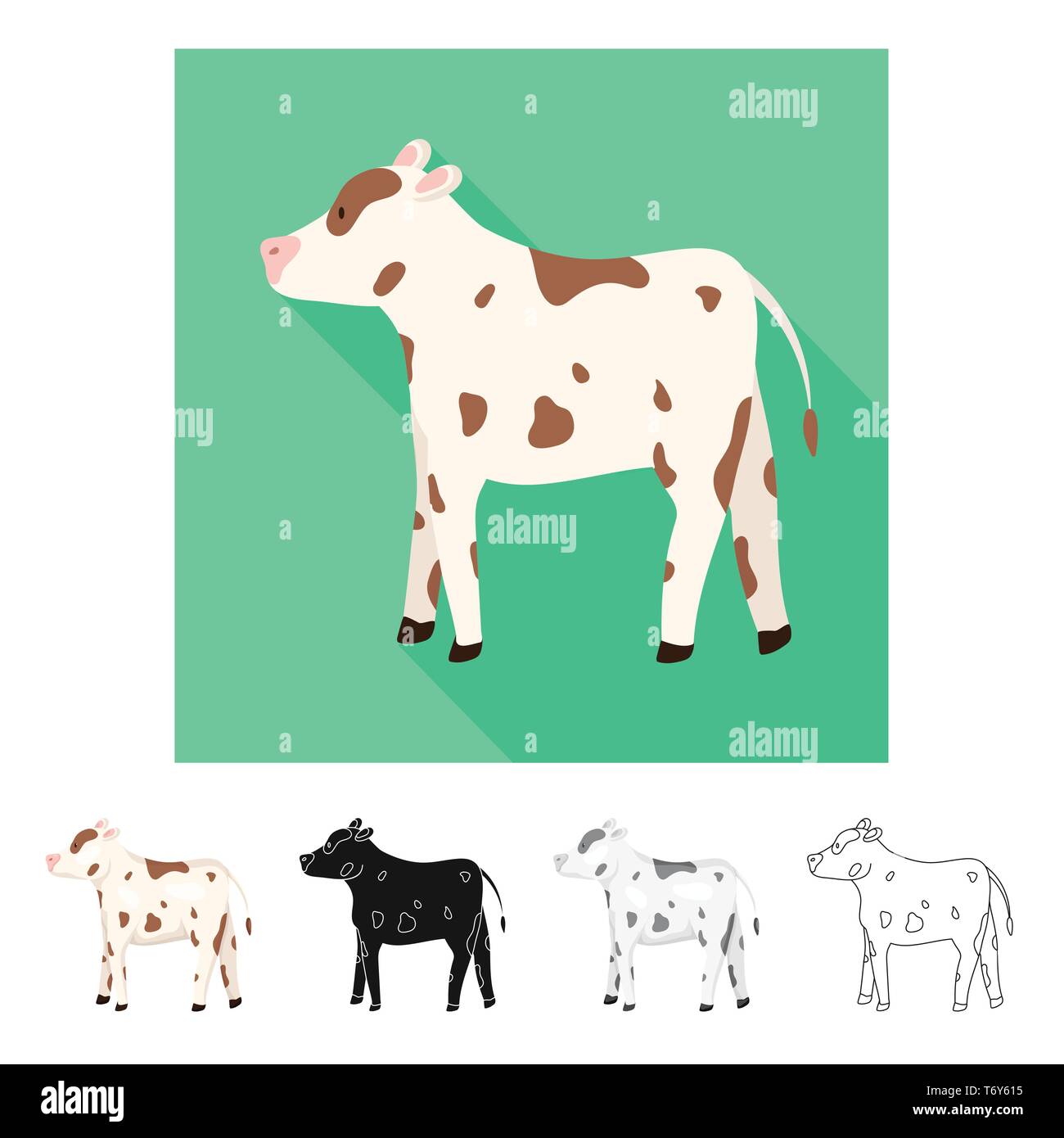 cattle,beef,meat,dairy,husbandry,calf,farm,food,homemade,countryside ...