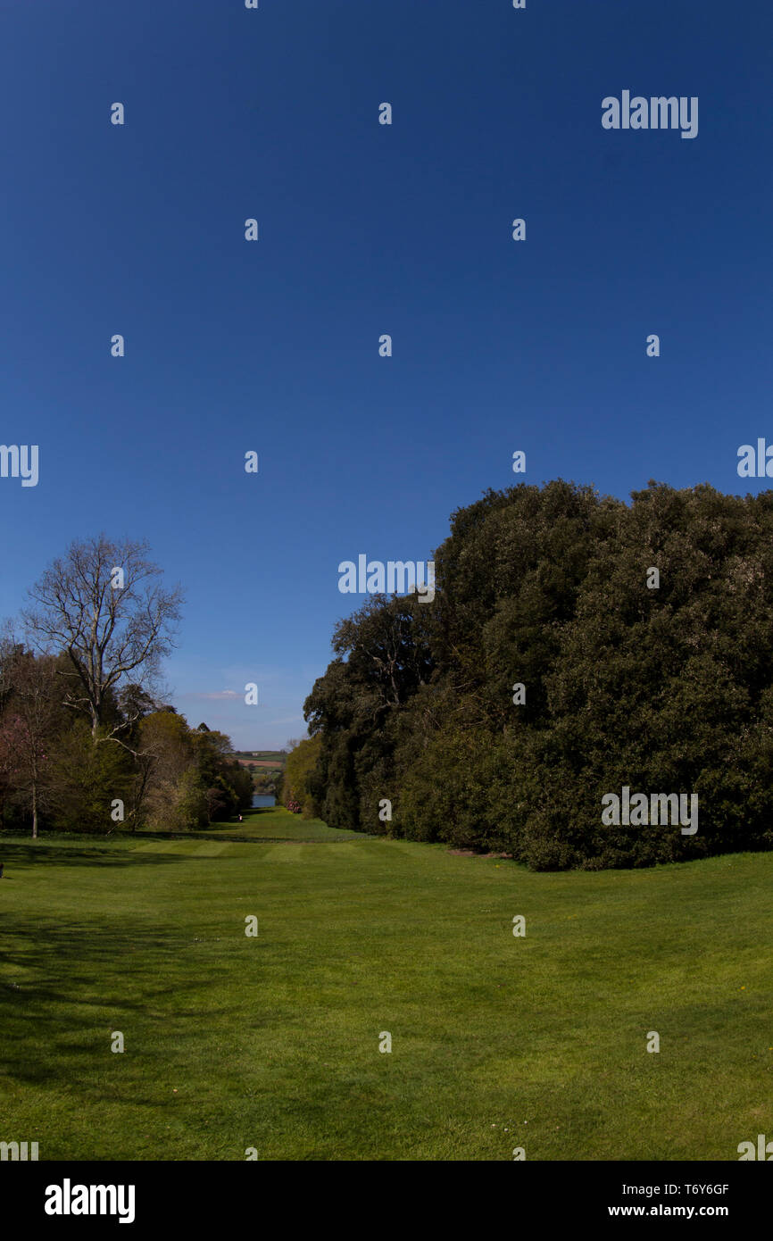 Antony House National Trust in Cornwall Stock Photo - Alamy