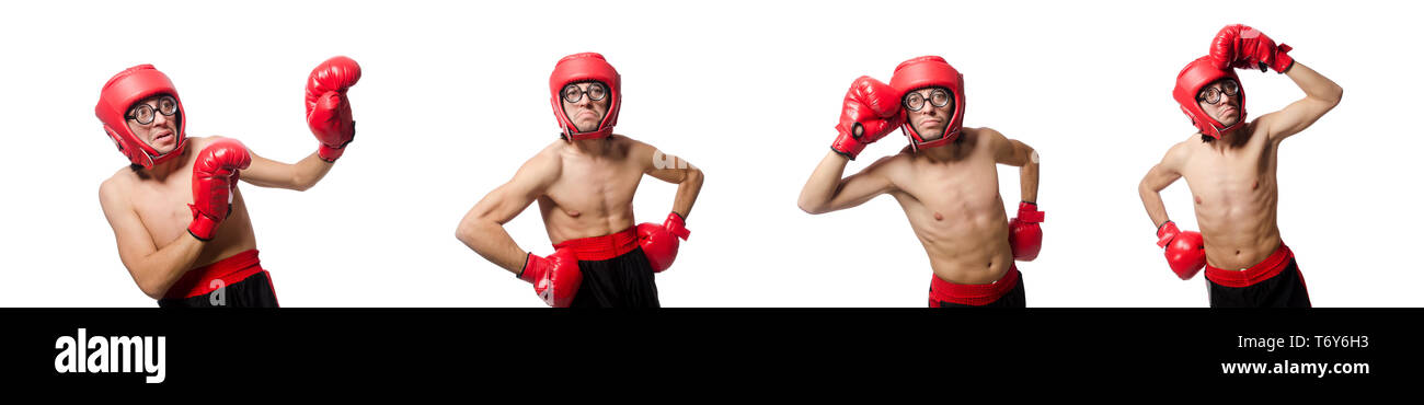 Funny boxer isolated on the white Stock Photo - Alamy