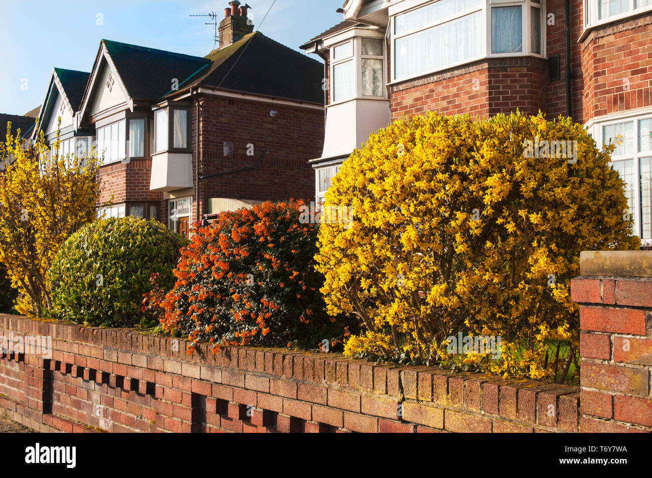 Shaped shrubs hi-res stock photography and images - Alamy