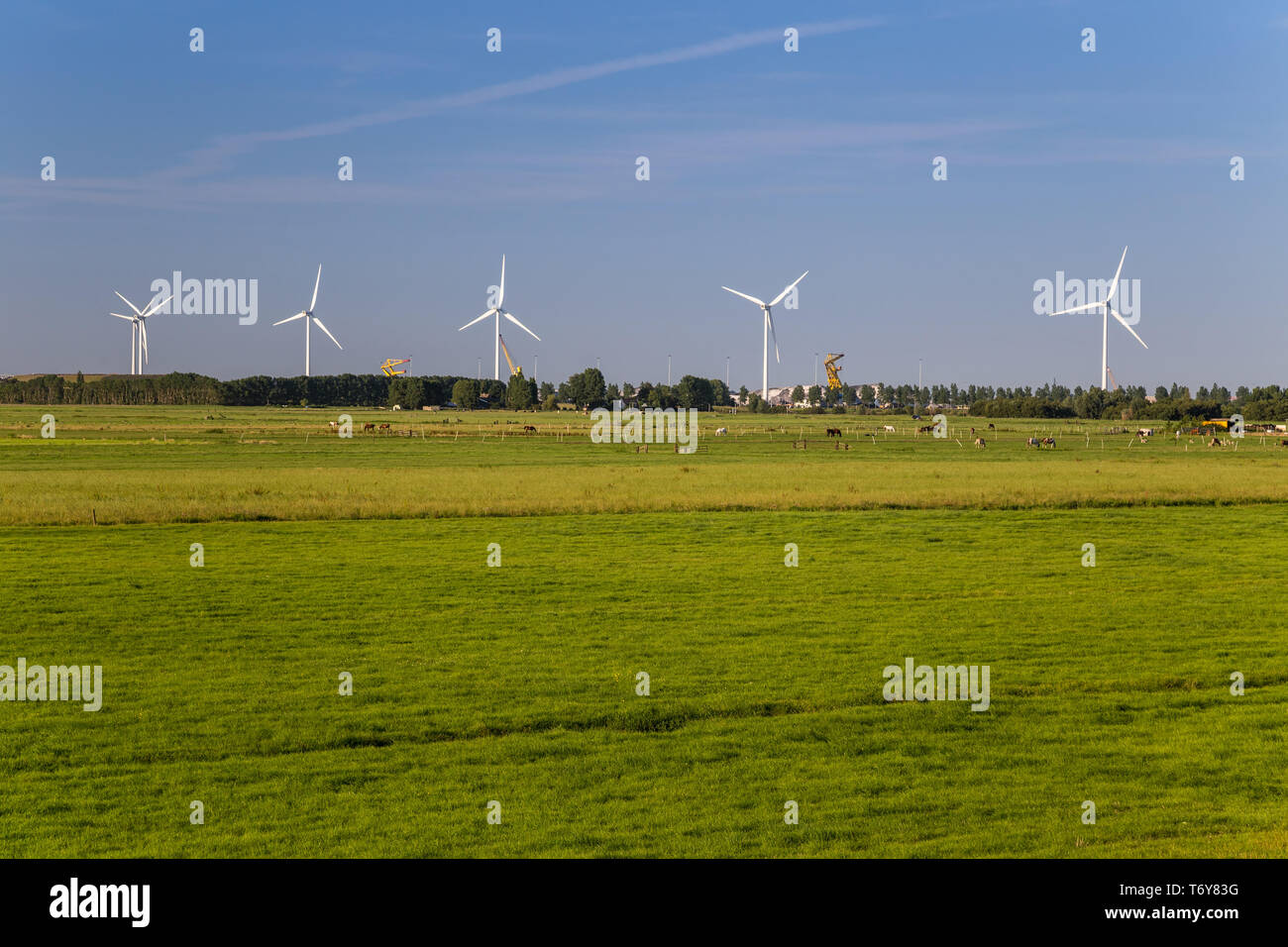 Row of wind turbines Stock Photo - Alamy