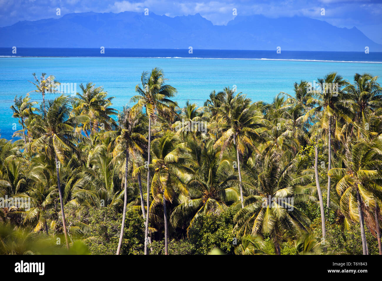 Blue lagoon of island Bora Bora, Polynesia. Mountains, the sea, palm ...