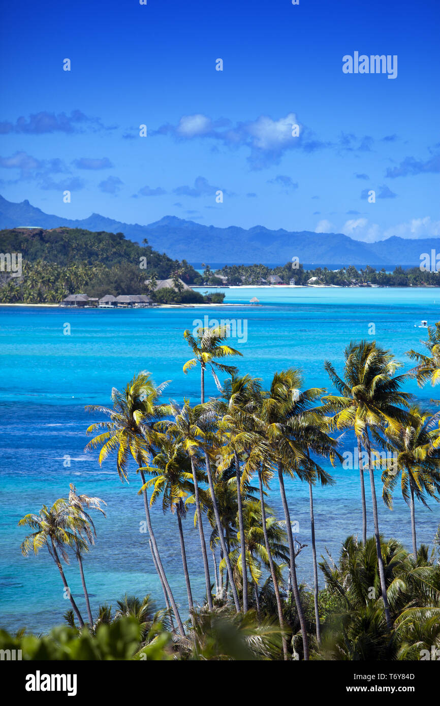 Blue lagoon of island Bora Bora, Polynesia. Mountains, the sea, palm ...