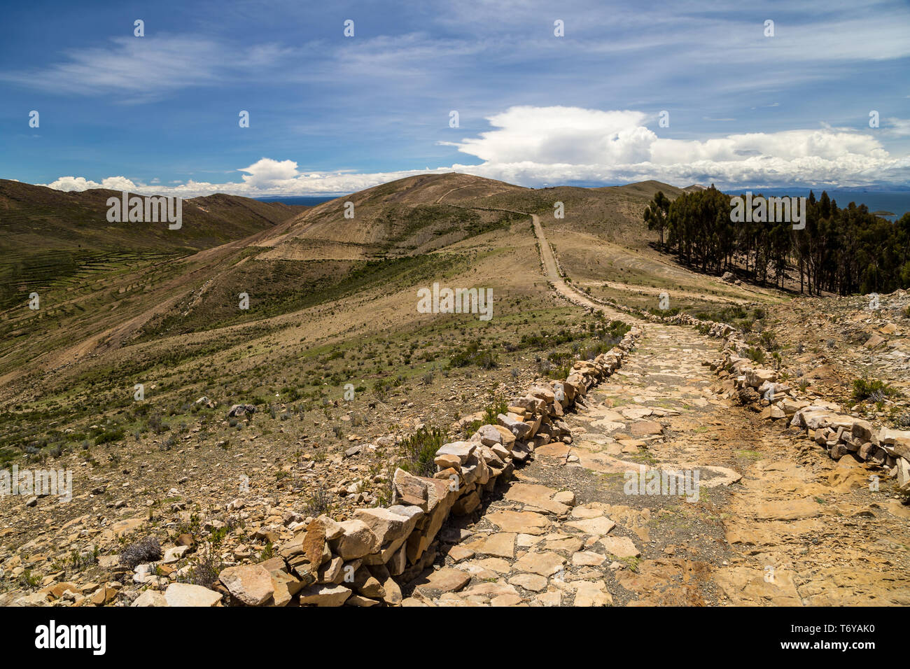 Inca trail in Isla del Sol. Titicaca, Bolivia Stock Photo - Alamy