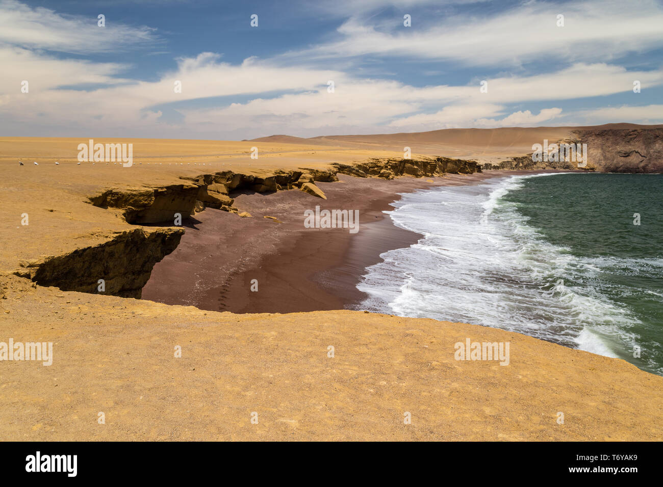 Red sand beach in Paracas National Reserve, Peru Stock Photo - Alamy