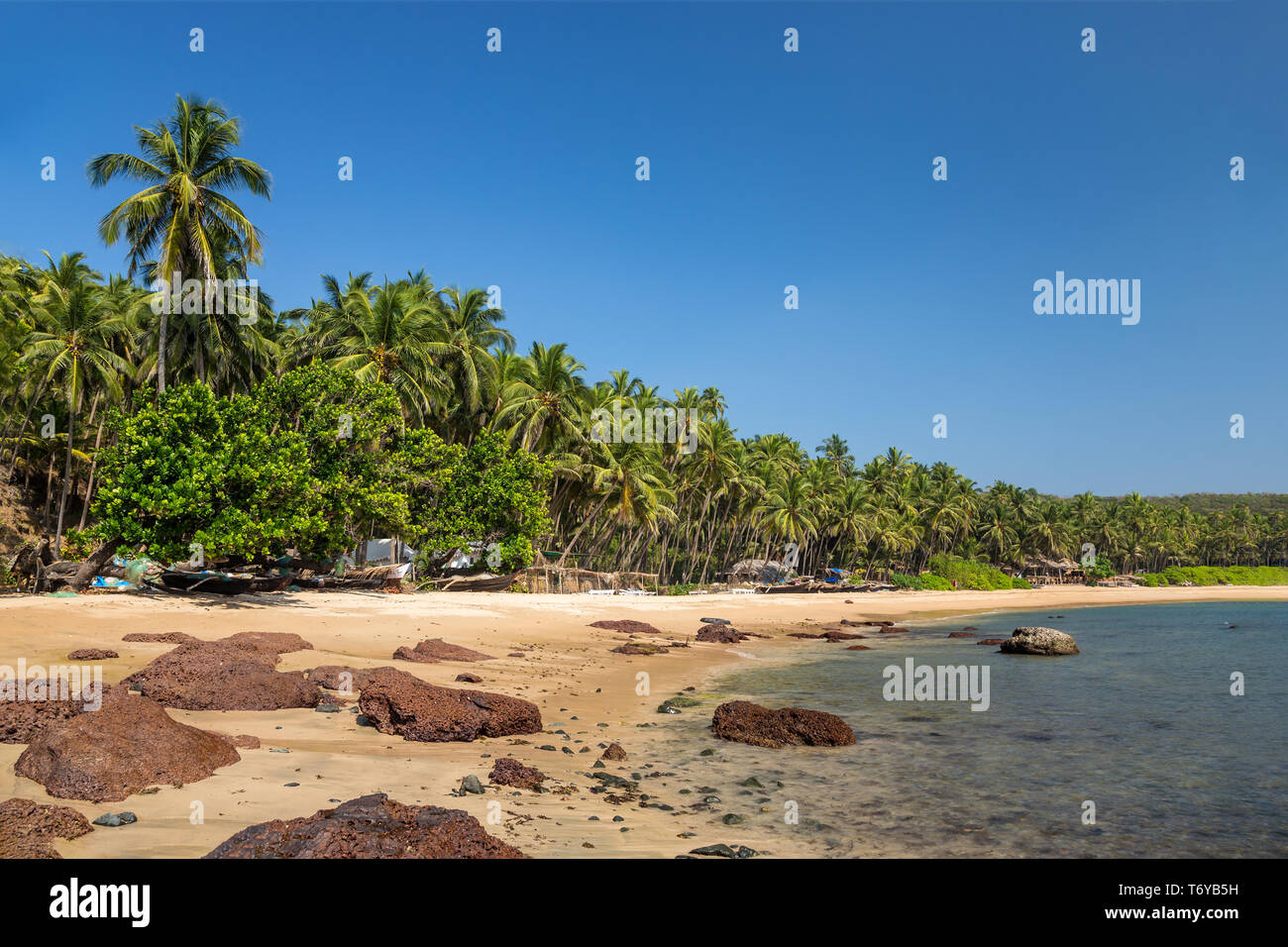 Tropical beach with rocks and palm trees Stock Photo - Alamy