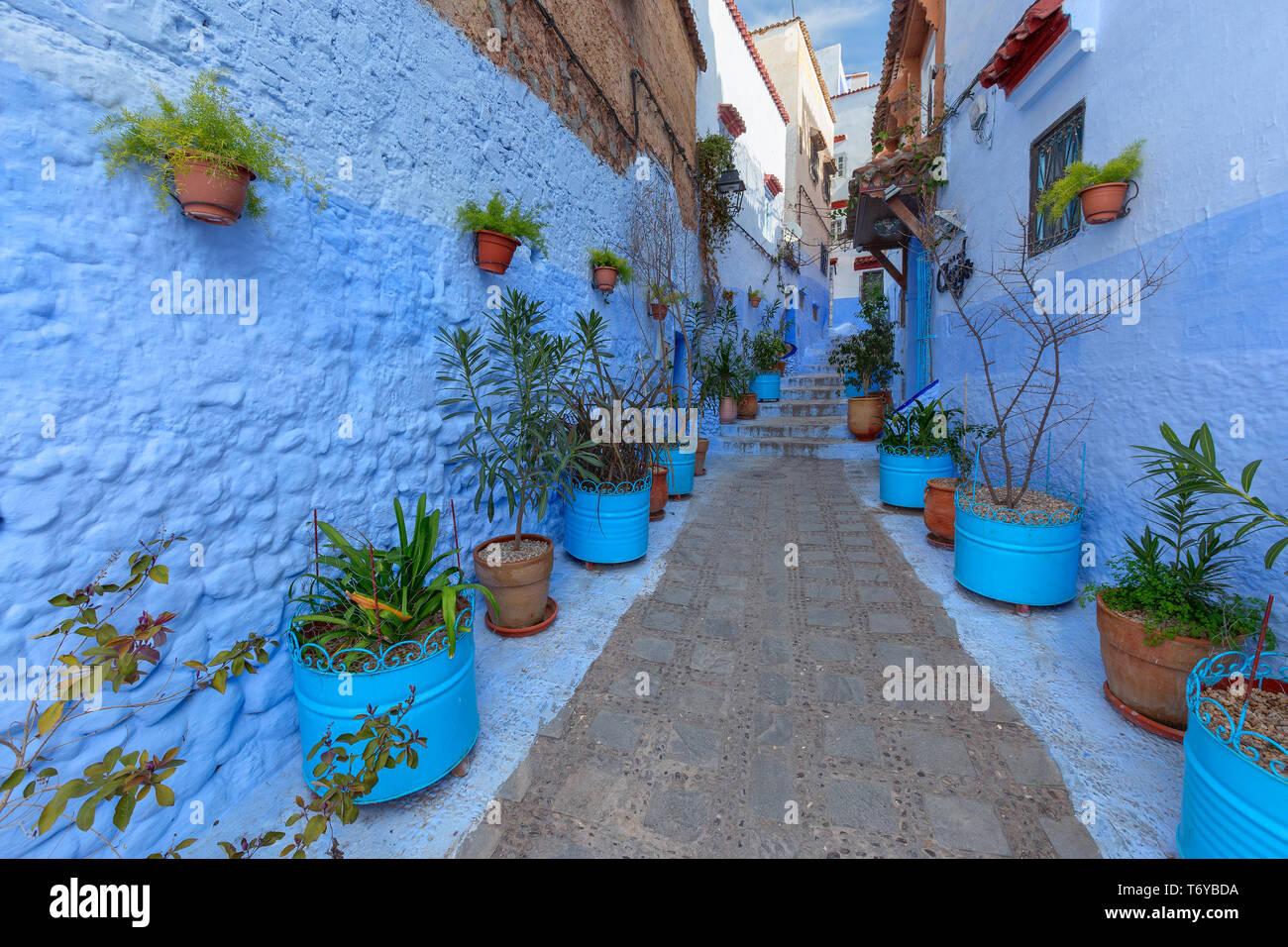 Blue street with color pots in Chefchaouen Stock Photo - Alamy