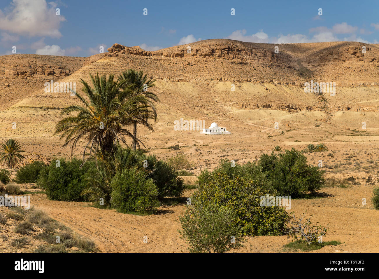 Desert oasis in hills hi-res stock photography and images - Alamy