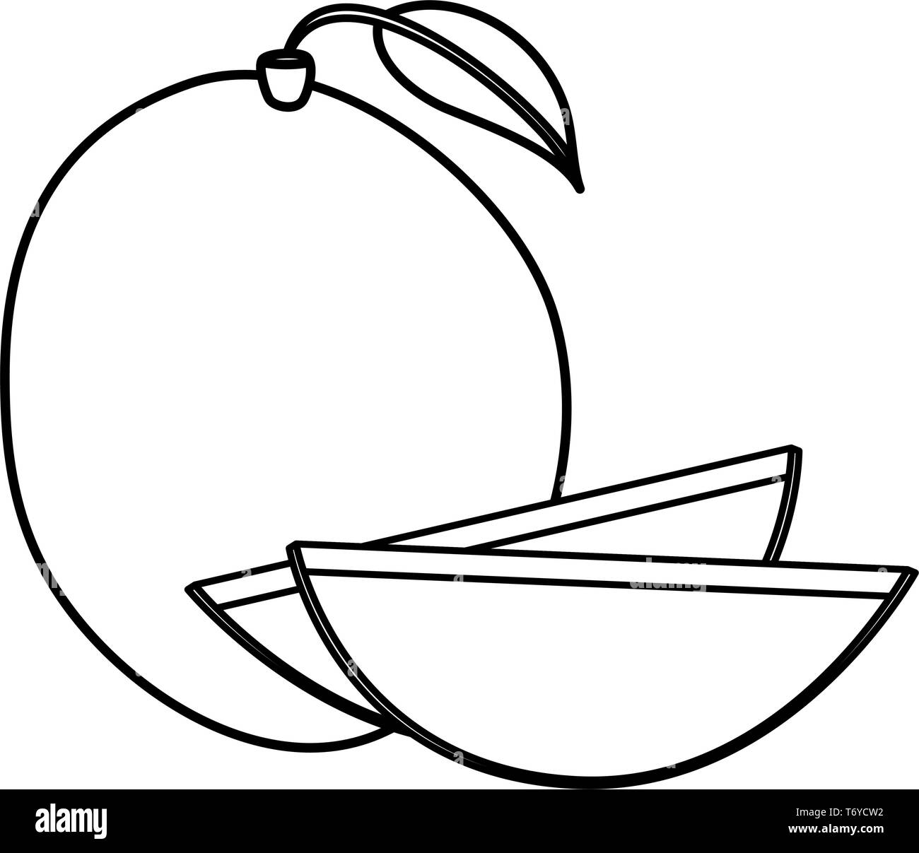 fresh tropical mango fruit vector illustration design Stock Vector ...