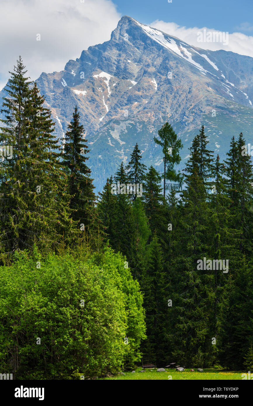 Krivan mountain, High Tatras, Slovakia Stock Photo - Alamy