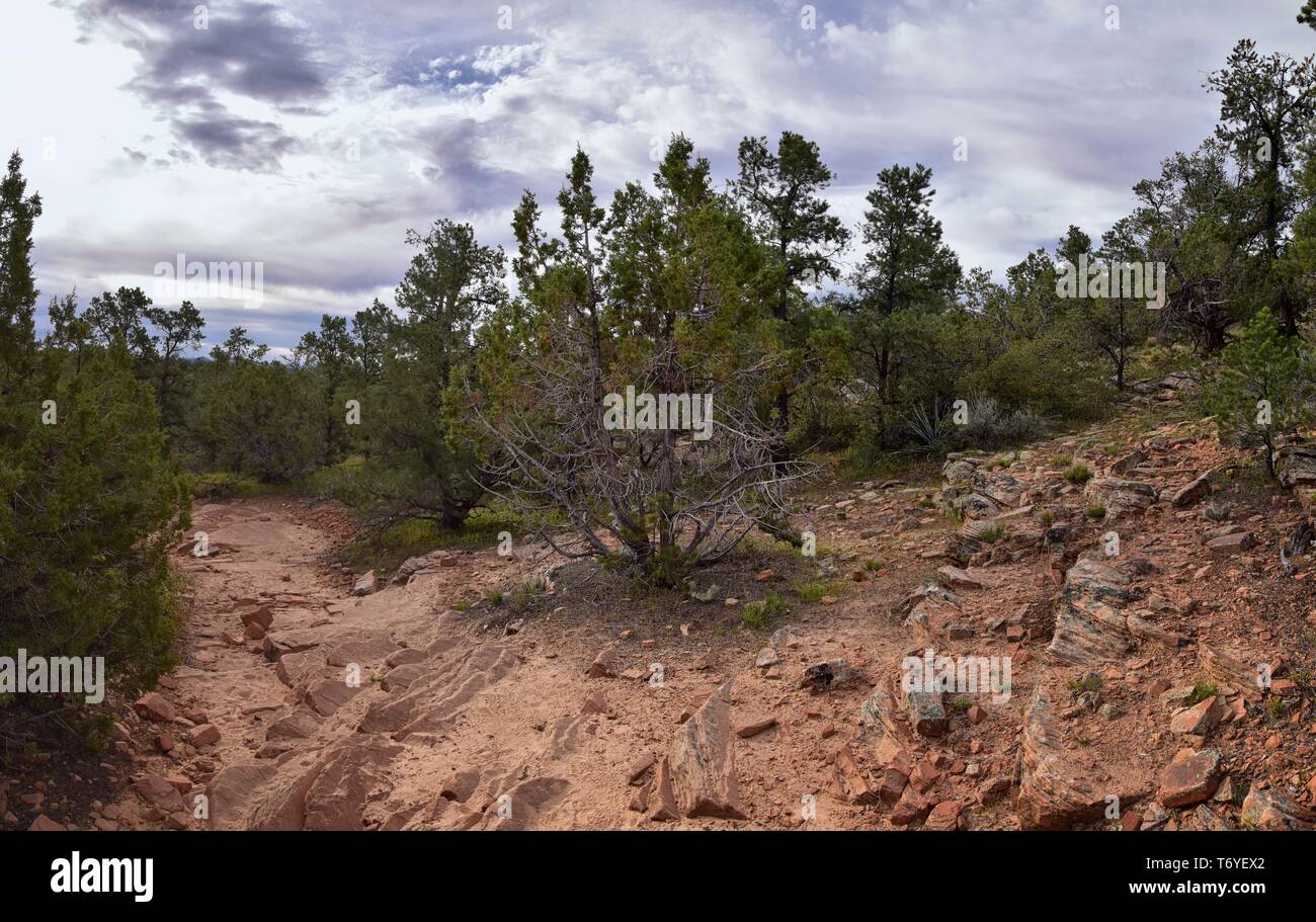 Snow Canyon Overlook, views from the Red Mountain Wilderness hiking ...