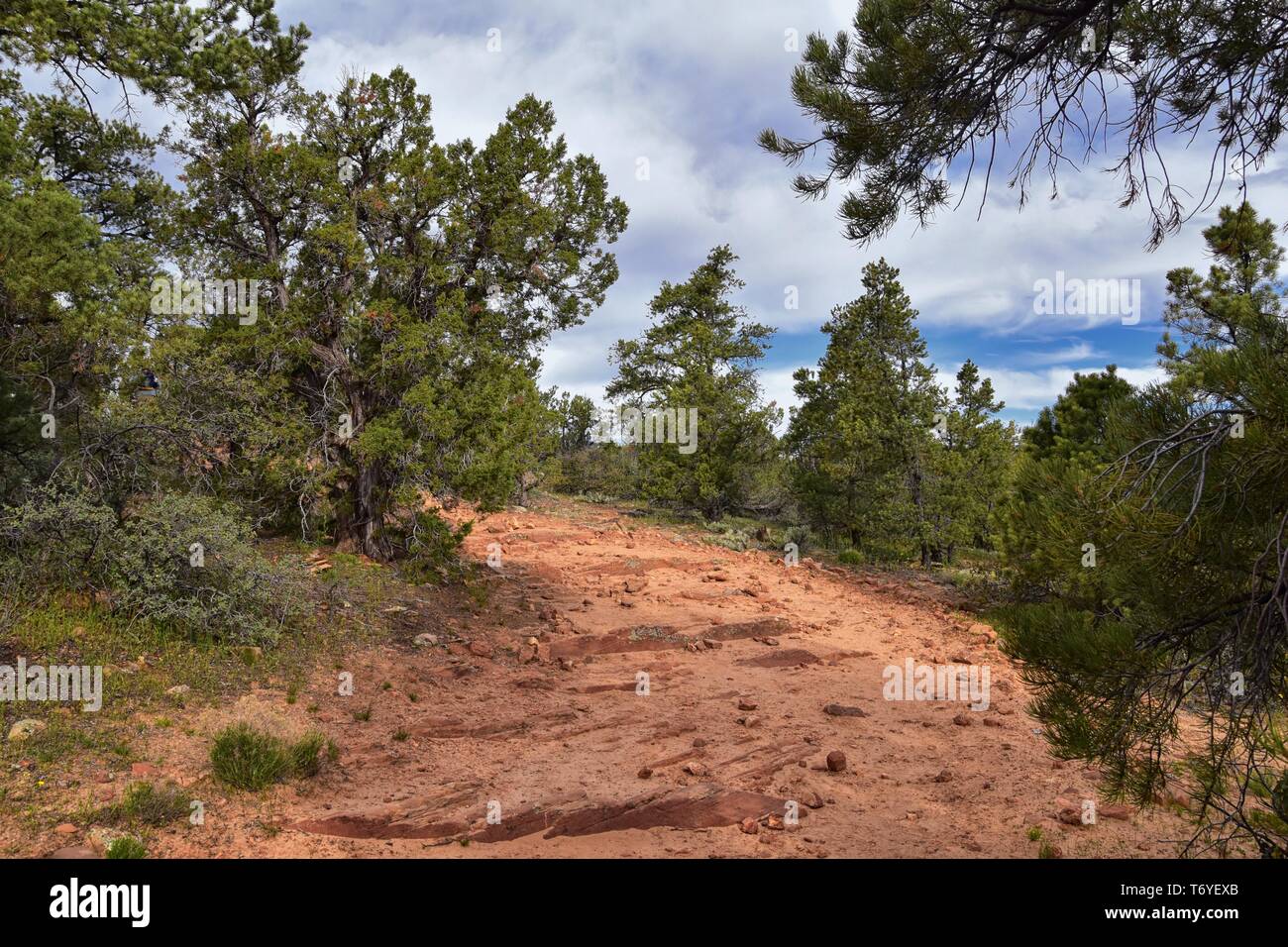 Snow Canyon Overlook, views from the Red Mountain Wilderness hiking ...