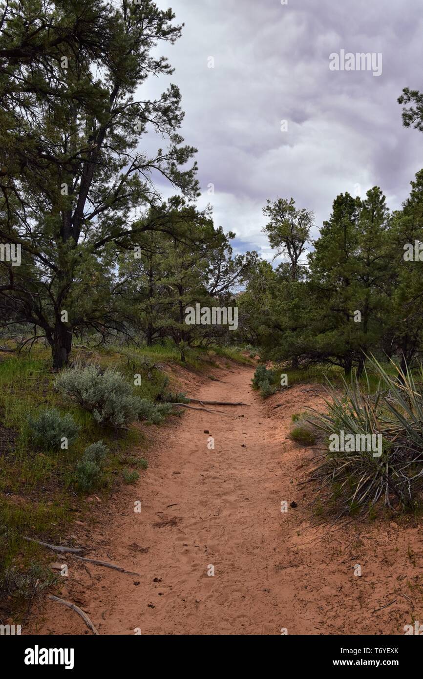 Snow Canyon Overlook, views from the Red Mountain Wilderness hiking ...