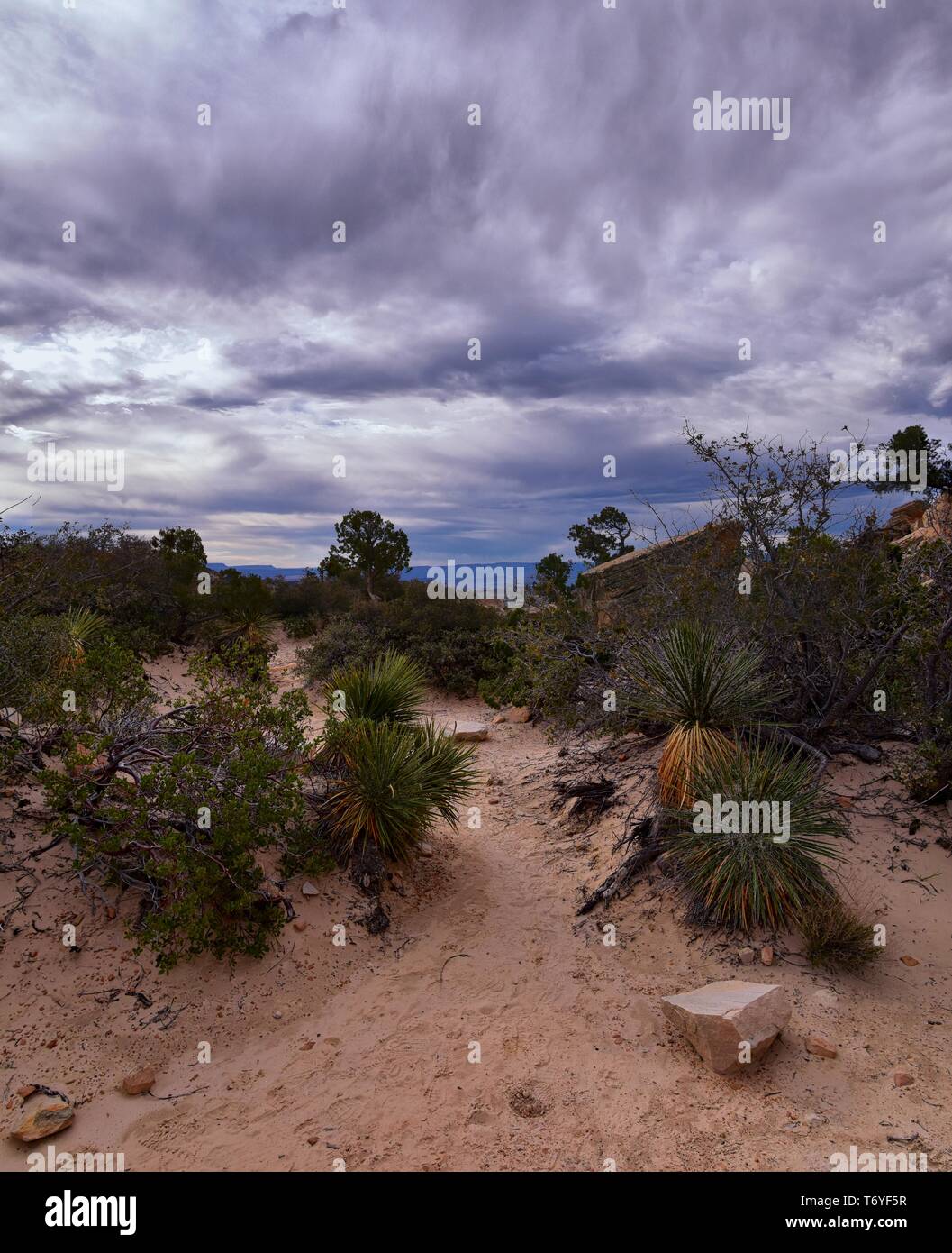 Snow Canyon Overlook, views from the Red Mountain Wilderness hiking ...