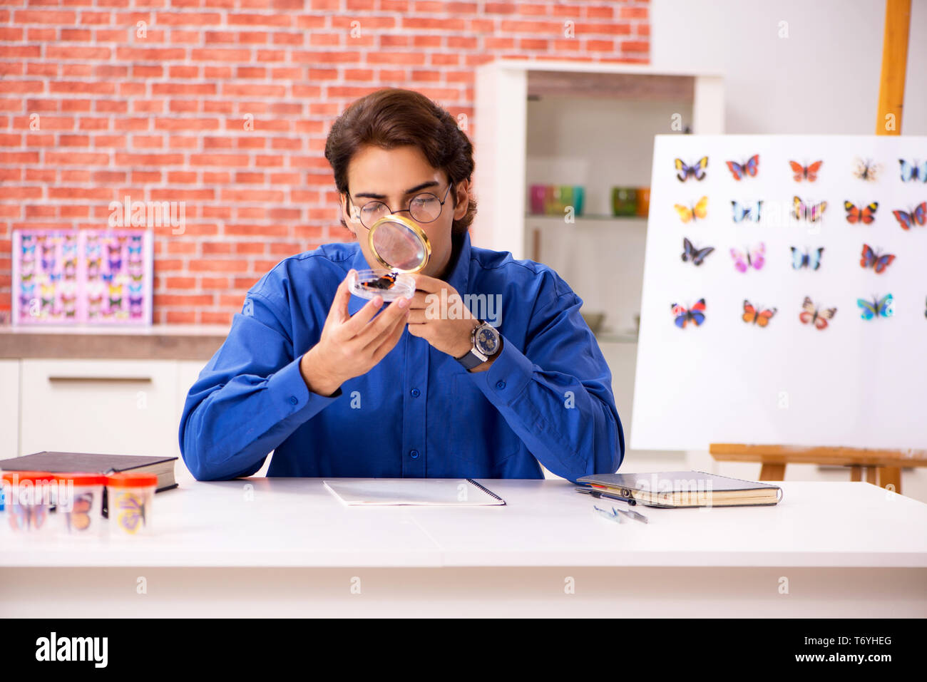Student entomologist studying new species of butterflies Stock Photo ...