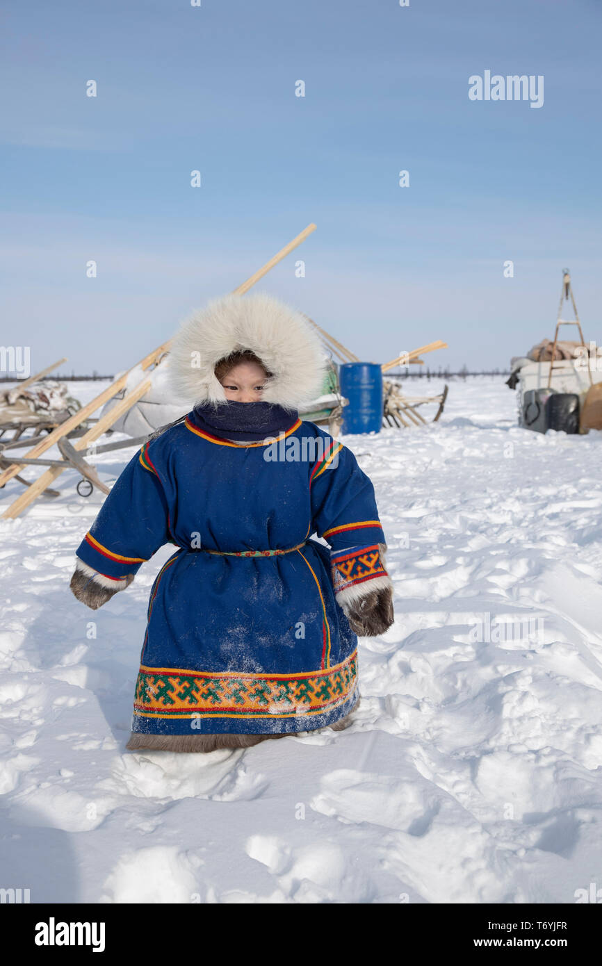 Russia, Yamal-Nenets Autonomous Region, Yamal peninsula. Nomadic Nenets ...