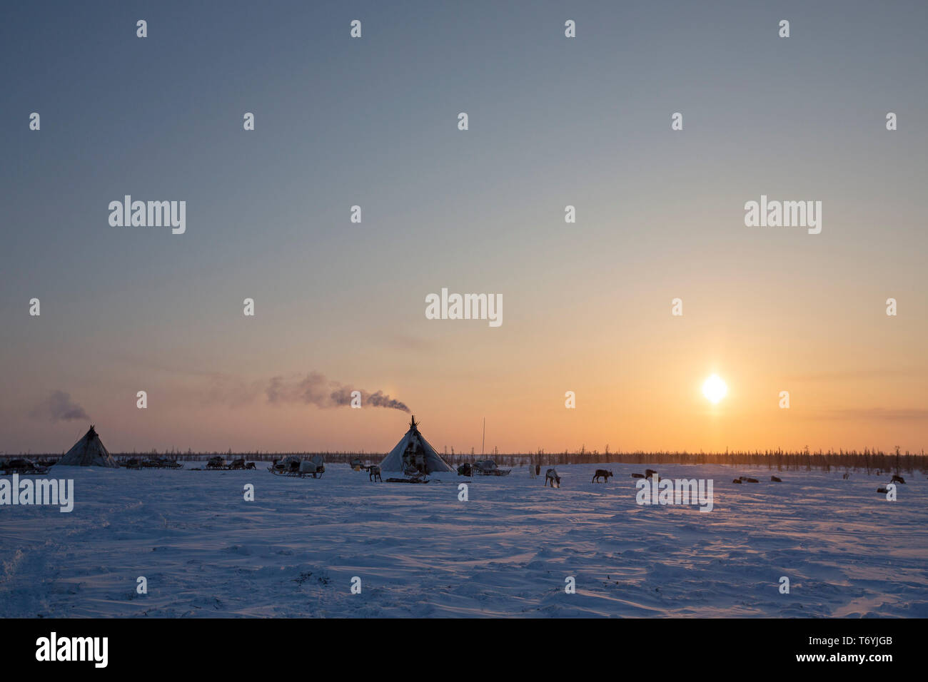 Yamal hi-res stock photography and images - Alamy