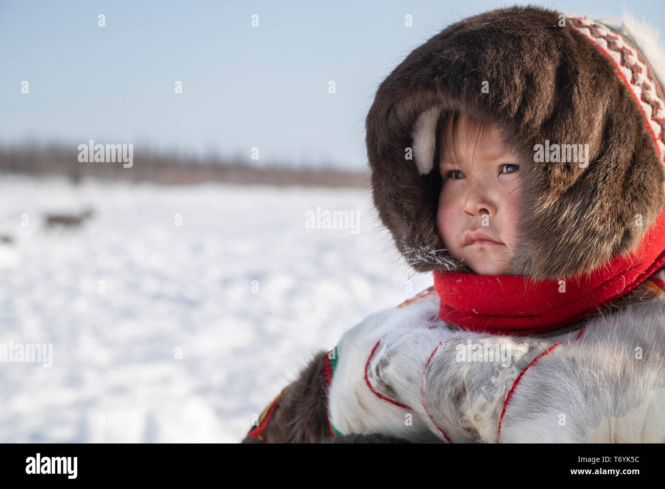 Russia, Yamal-Nenets Autonomous Region, Yamal peninsula. Nomadic Nenets ...