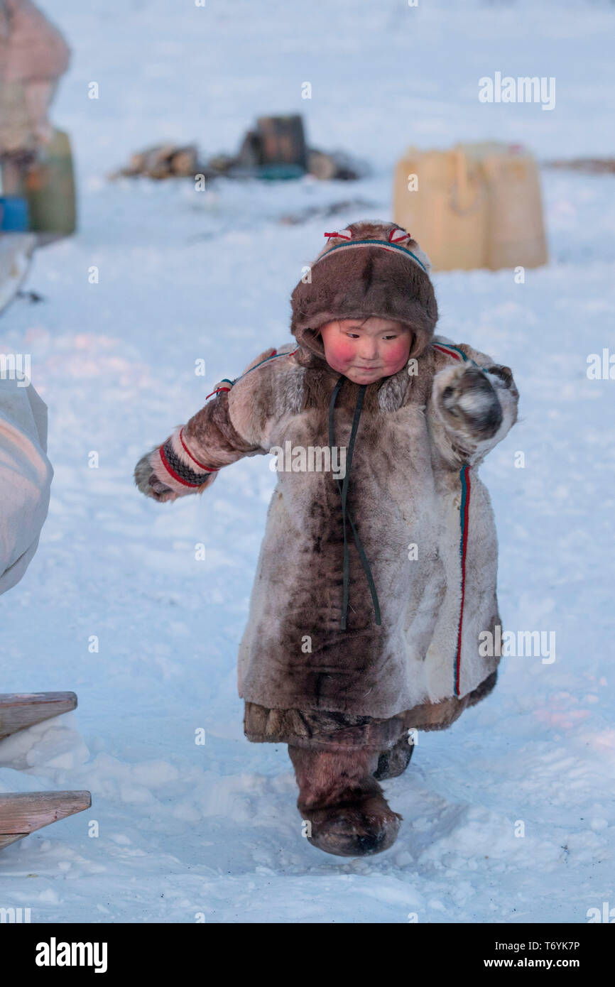 Russia, Yamal-Nenets Autonomous Region, Yamal peninsula. Nomadic Nenets ...
